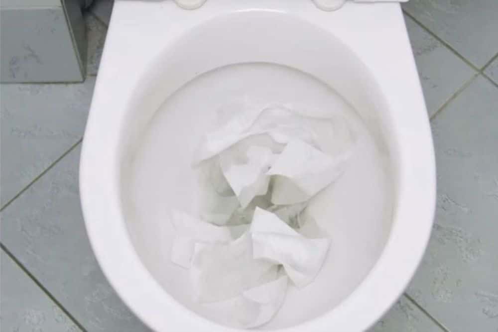 No Plunger, No problem – Weymouth Clogged Toilet - Trust 1 Services ...
